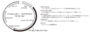 再生医療等製品#7 コラテジェン | 再生医療.net